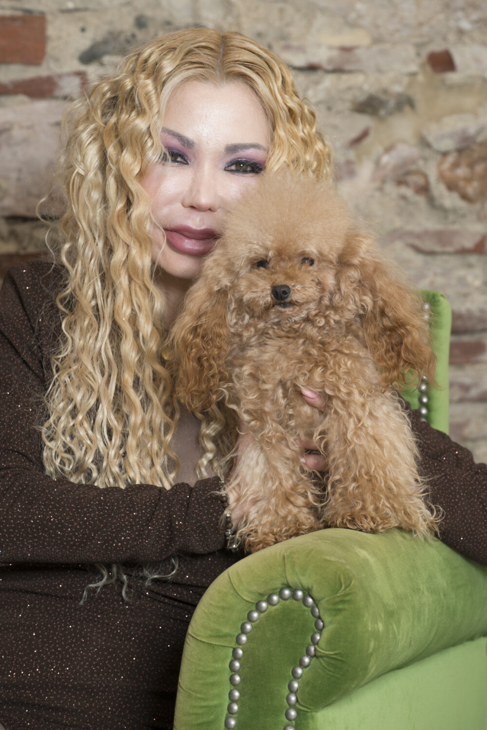 I miei cani barbone / barboncino